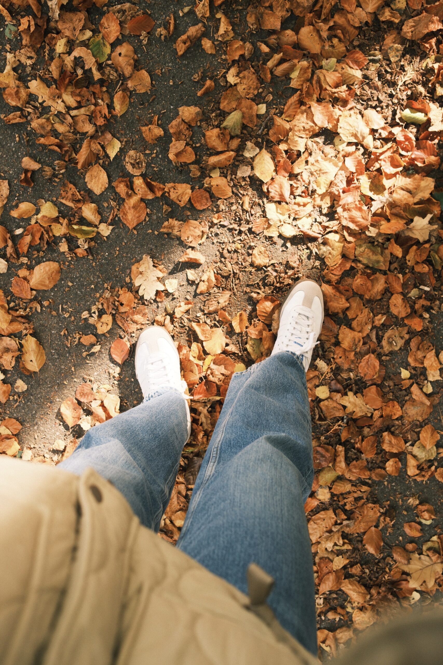 7 Fall Fonts on Canva to Use This Year - The Hobby Mom